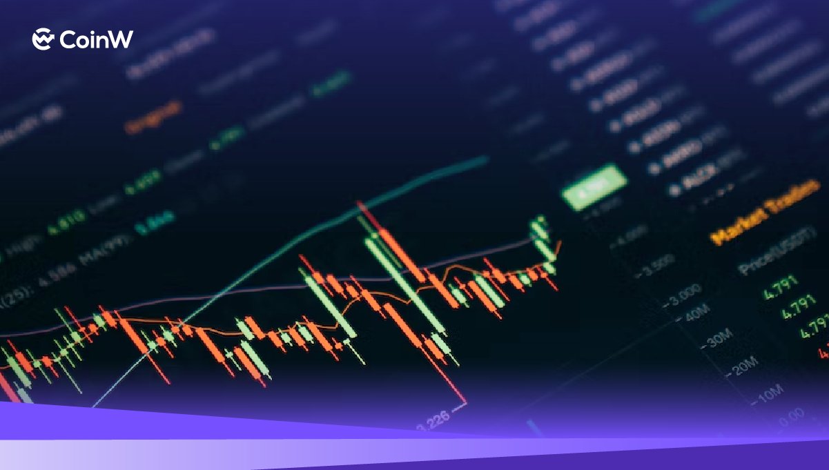 CoinW（コインダブル）取引所とは？特徴・メリットなど全て解説